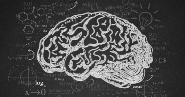 Scientists explore where consciousness arises in the brain – Free SPITS ...